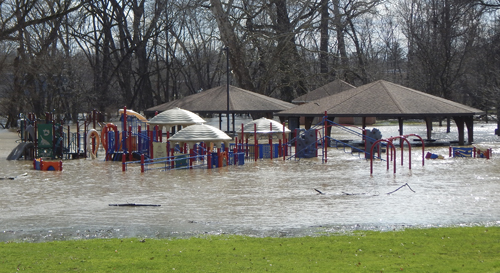 Heavy rainfall floods area | News, Sports, Jobs - Tribune Chronicle